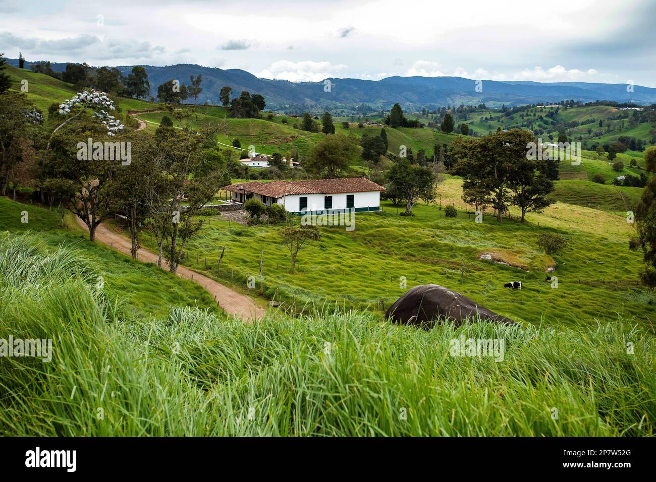 Colombian country house - Basic and rustic peasant construction ...