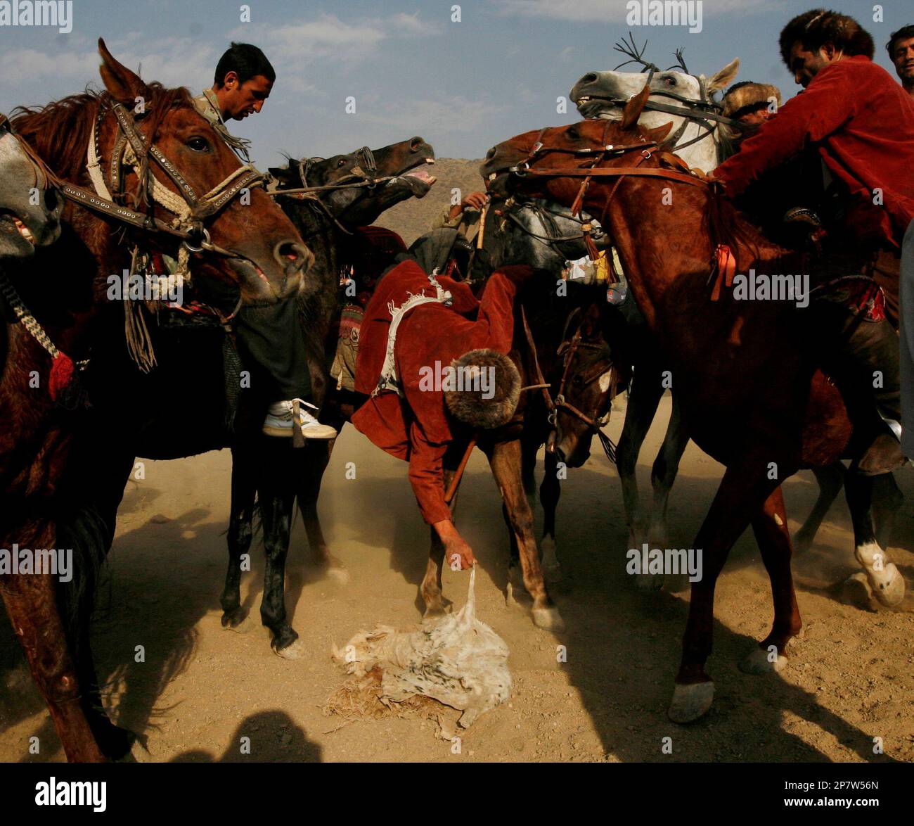 Afghan buzhkashi player try to drag a beheaded goat during a game in ...