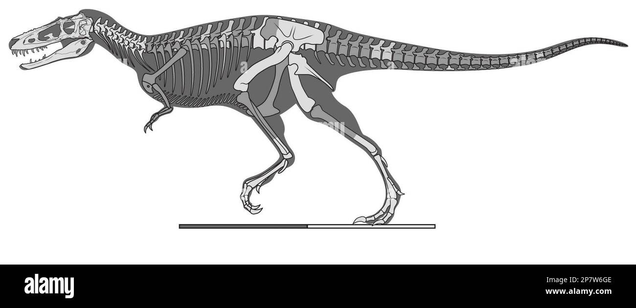 ** FOR USE SAT.-SUN., NOV. 7-8, AND THEREAFTER ** This is a skeletal ...