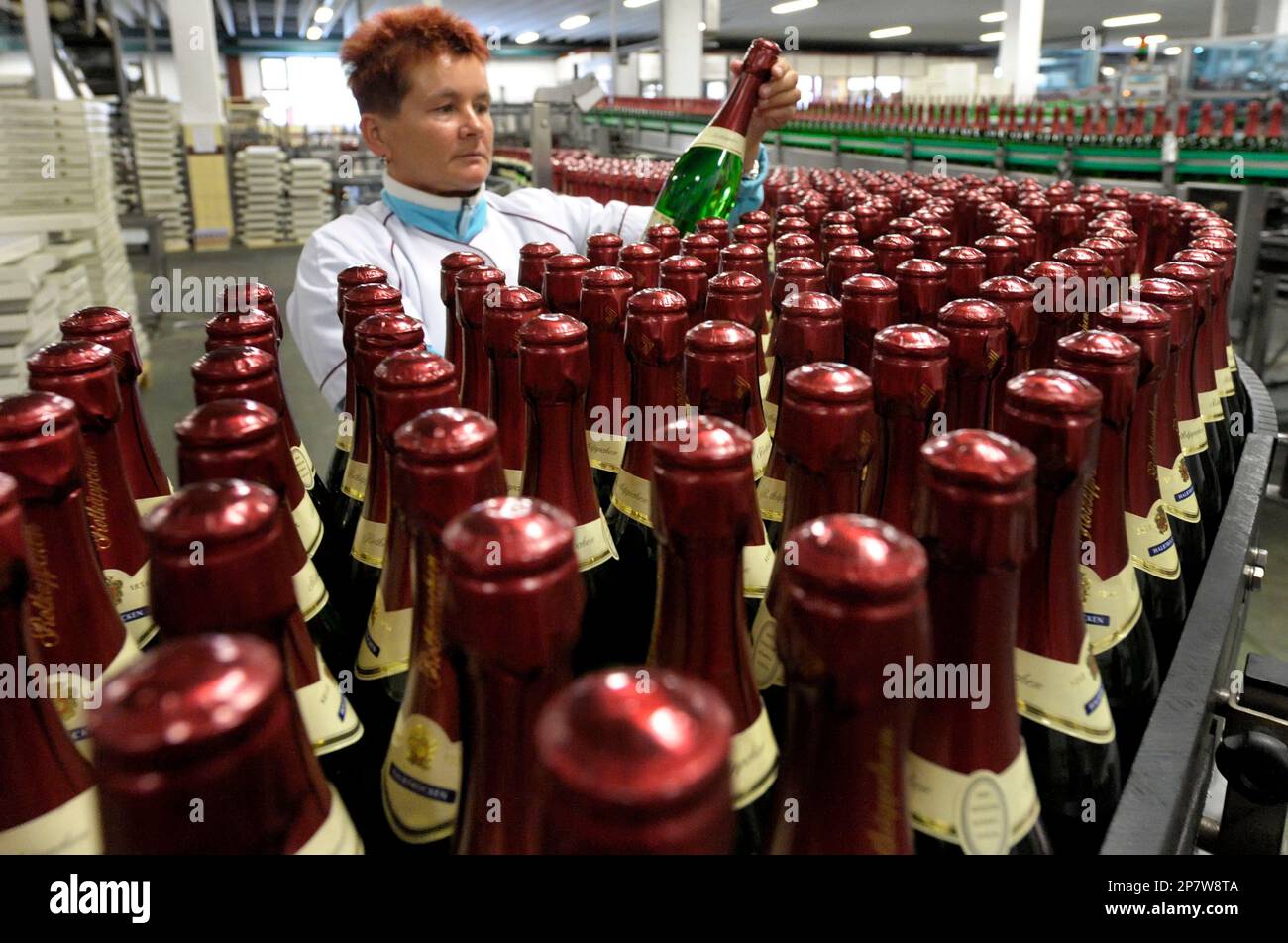 FILE - In this April 18, 2008 file photo Karin Mildner checks a bottle ...
