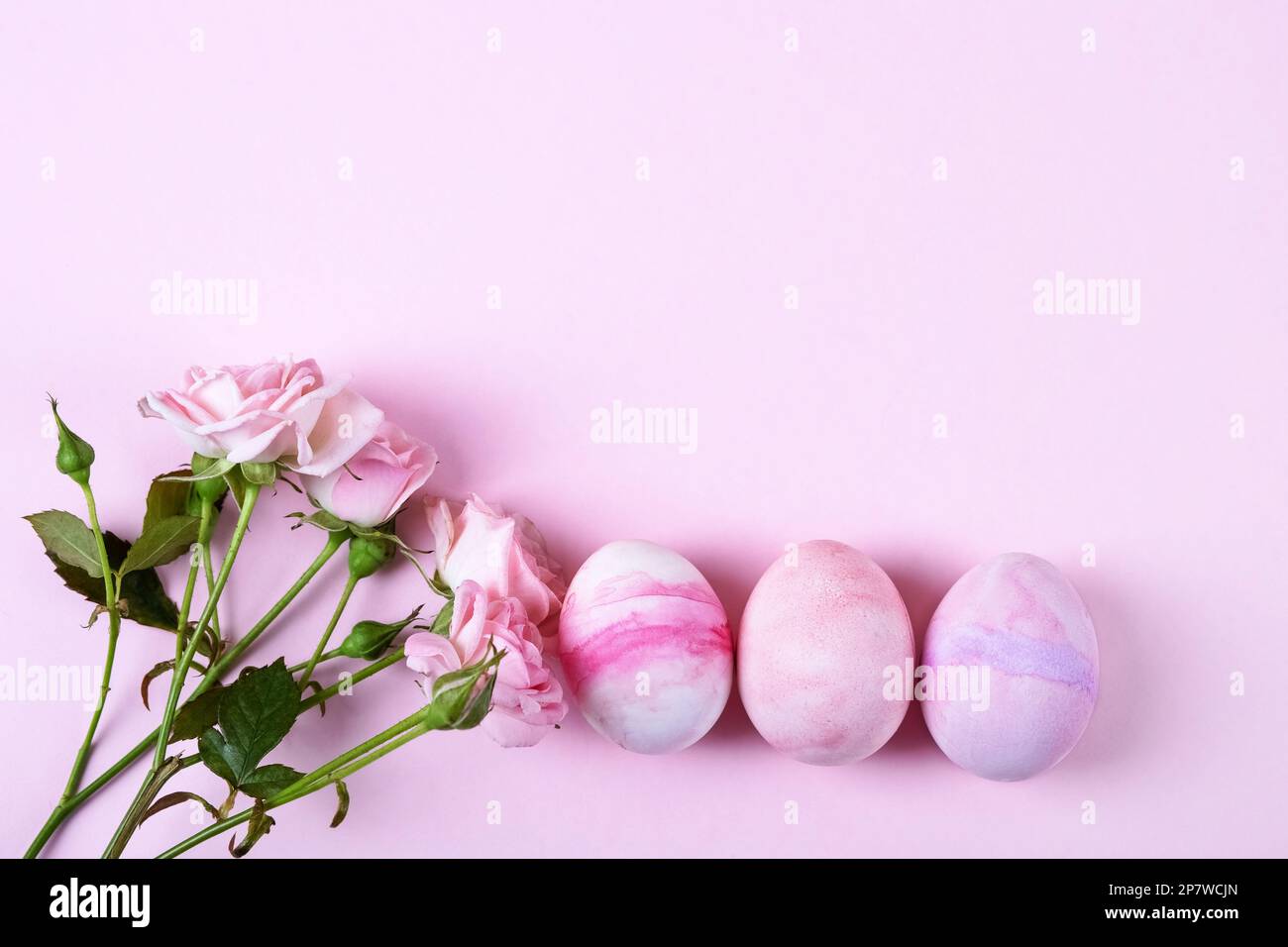 Pale pink Easter eggs with a sprig of pink roses on a pink background ...