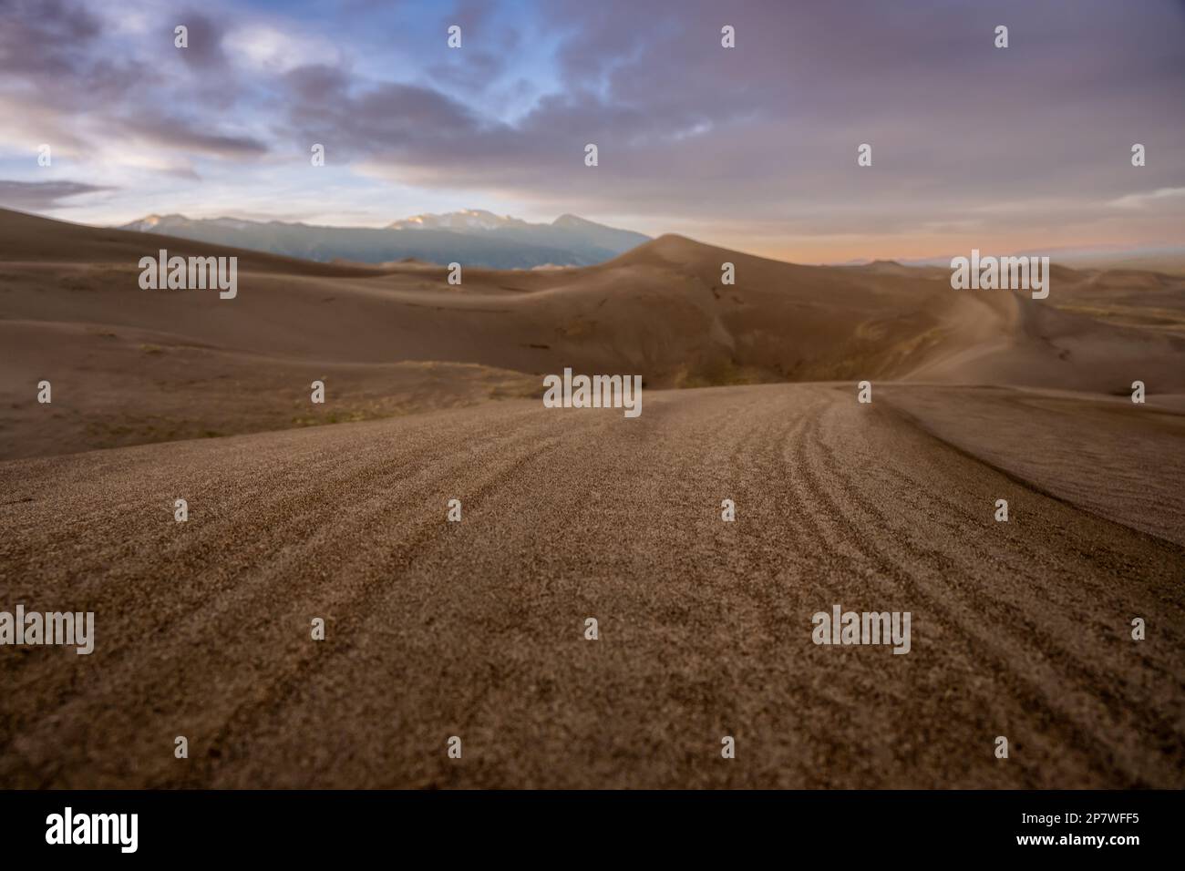Lines in the Dunes Bend Across Crest of Dune in Great Sand Dunes ...