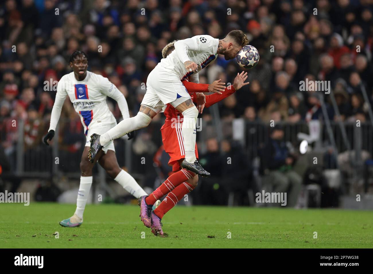 El chadaille bitshiabu hi-res stock photography and images - Alamy