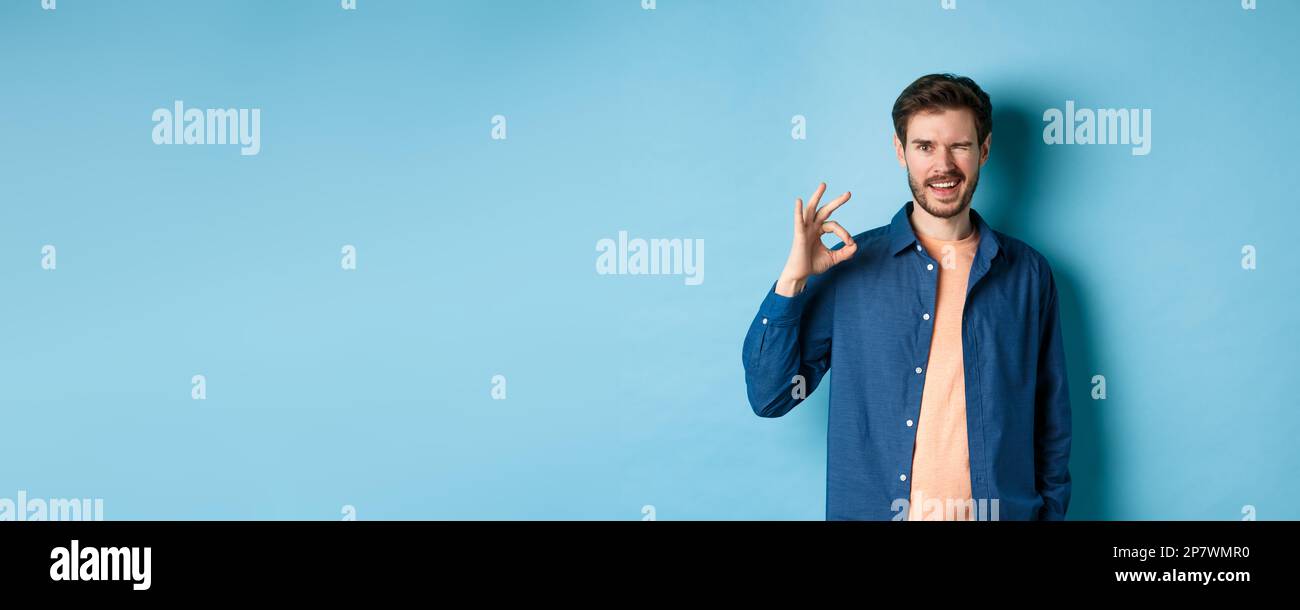 Positive smiling guy winking and showing okay sign, praising good work ...