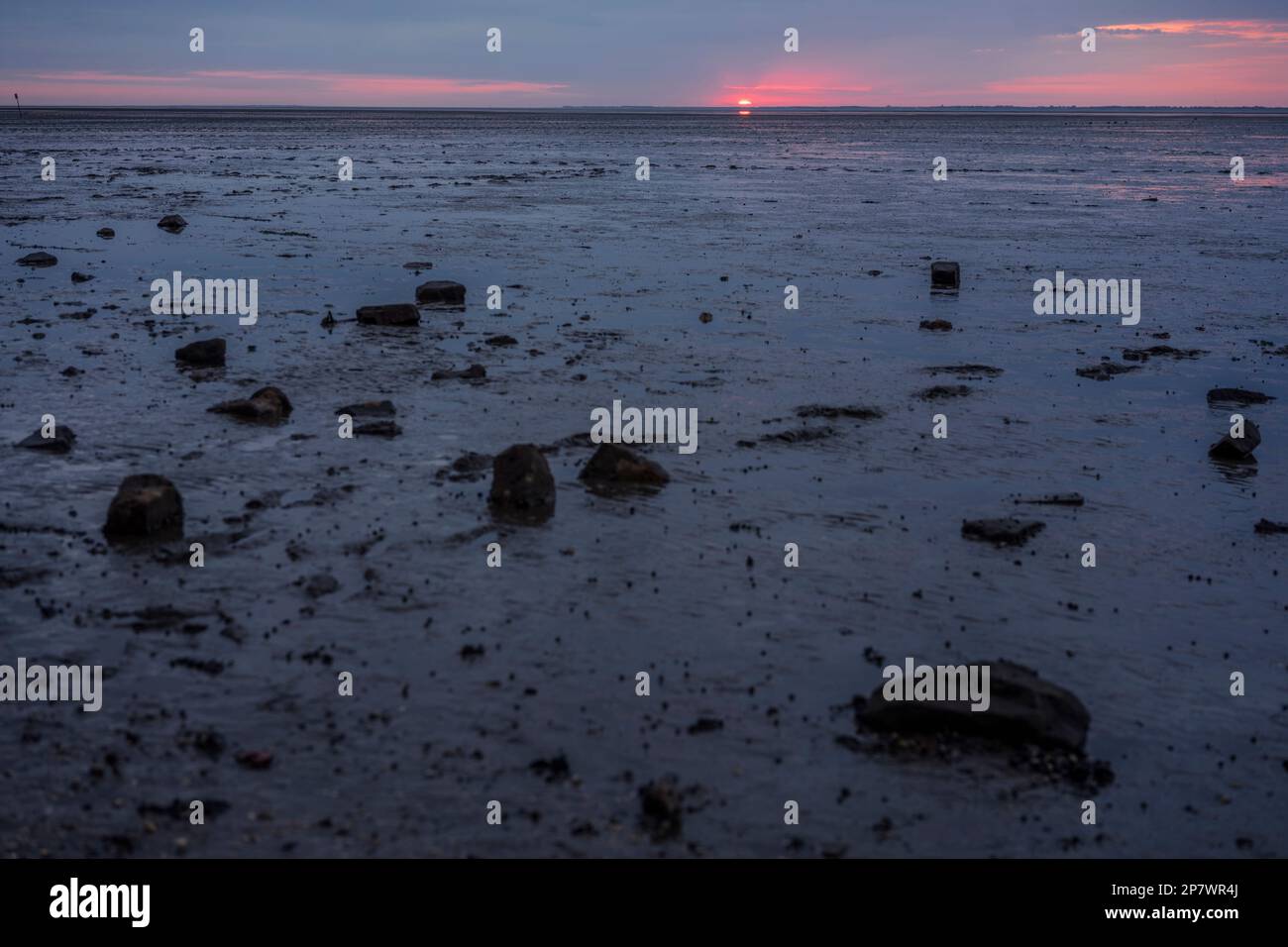 Muddy seashore hi-res stock photography and images - Alamy