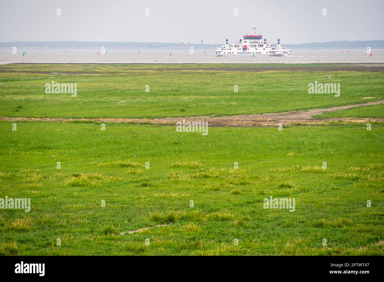 The ferry between the mainland and the island of Ameland, Netherlands ...