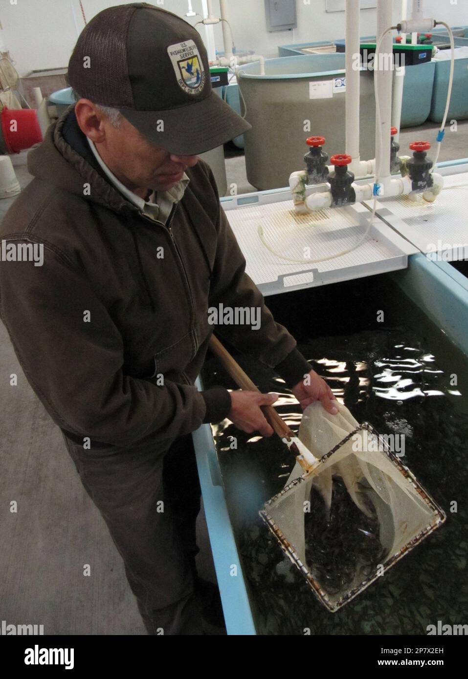 Manuel Ulibarri, director of the Dexter National Fish Hatchery and ...