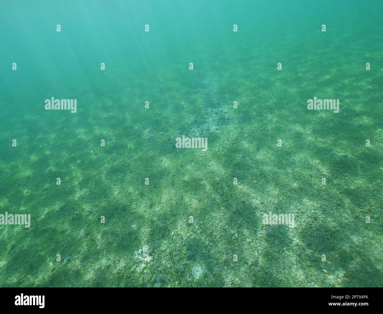 caribbean sea split level ocean Stock Photo - Alamy