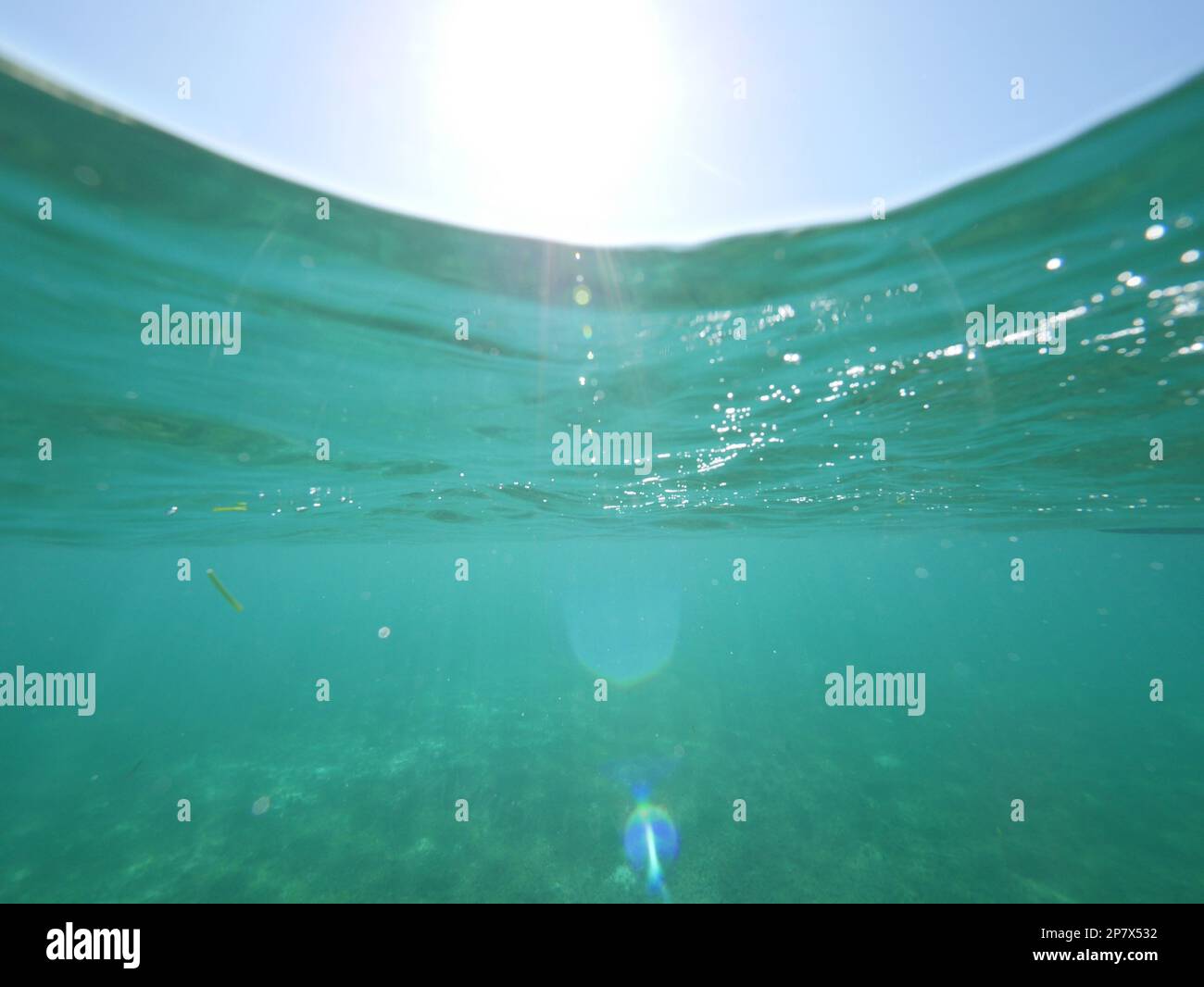Coral reef split level caribbean hi-res stock photography and images ...