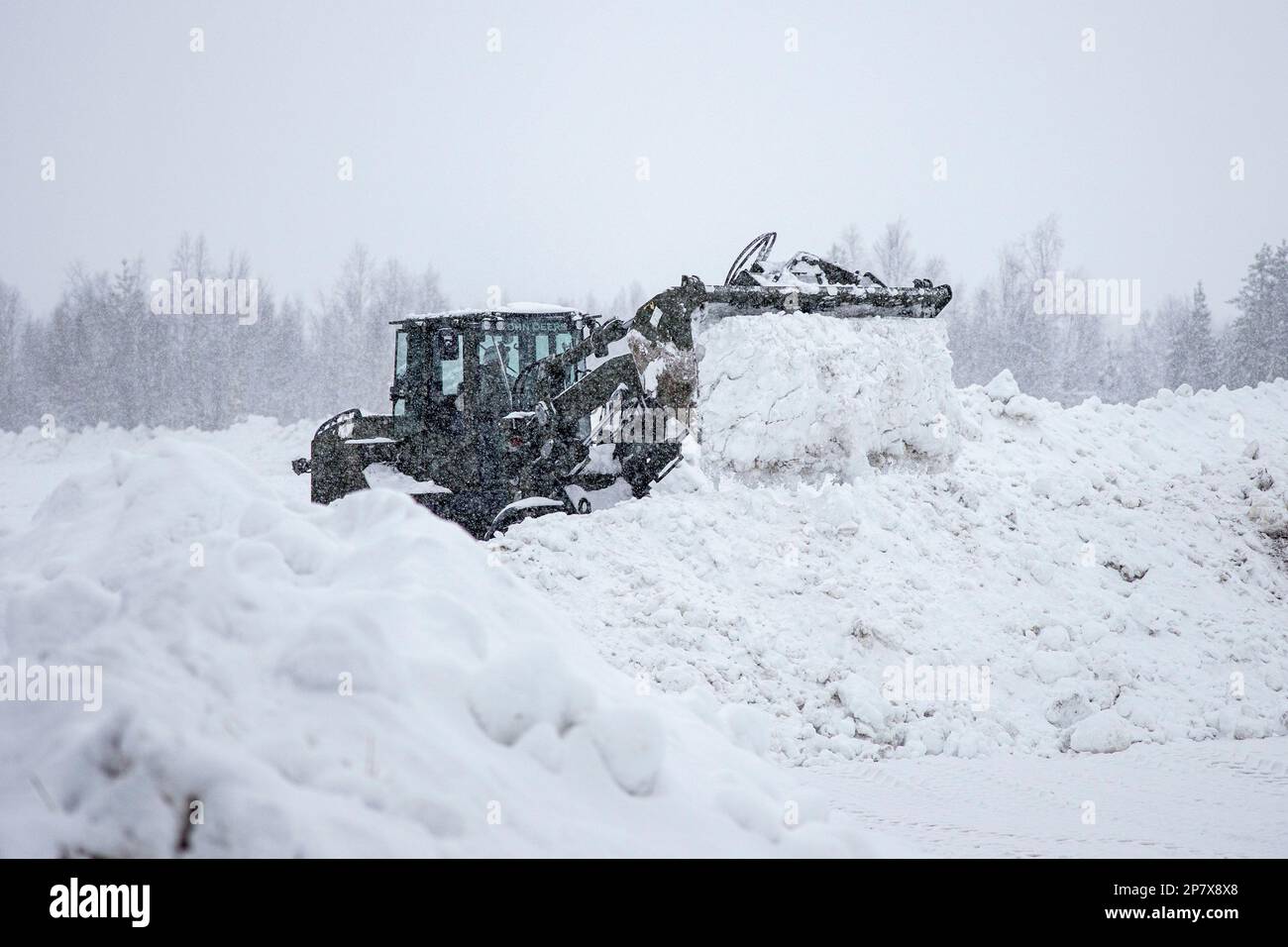 A U.S. Marine with 2d Combat Engineer Battalion, 2d Marine Division ...