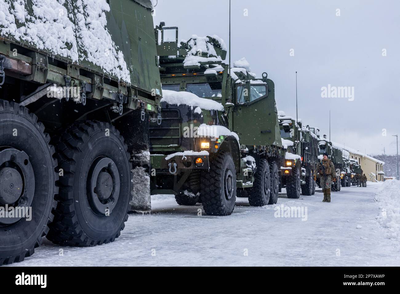 U.S. Marines with Combat Logistics Battalion 2, Combat Logistics ...
