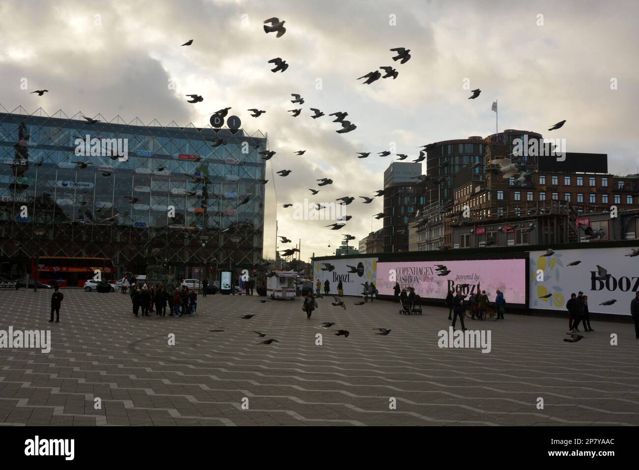 Composite of a large group of wildlife zoo animals Stock Photo - Alamy