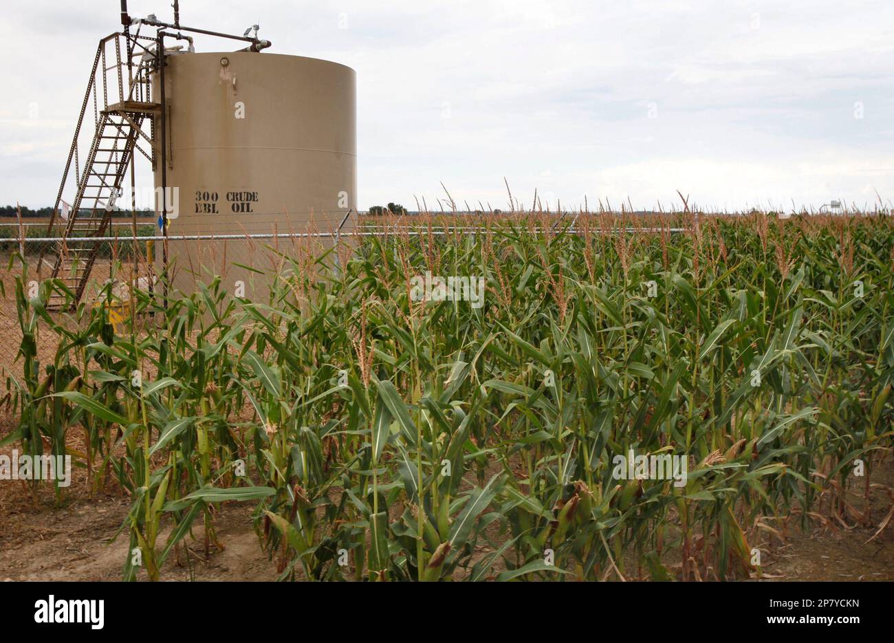 This Aug. 25, 2009 photo shows a crude oil collection tank sitting next ...
