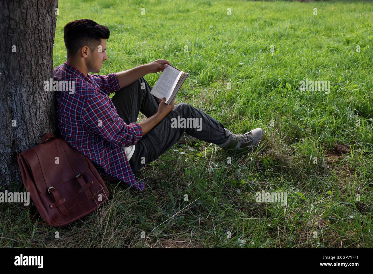 Man reading book under tree hi-res stock photography and images - Alamy