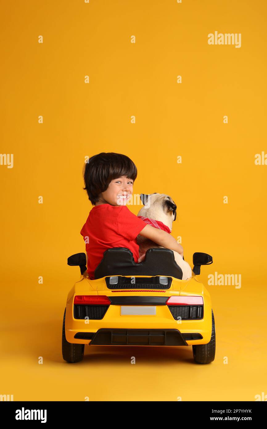 Little boy with his dog in toy car on yellow background, back view ...