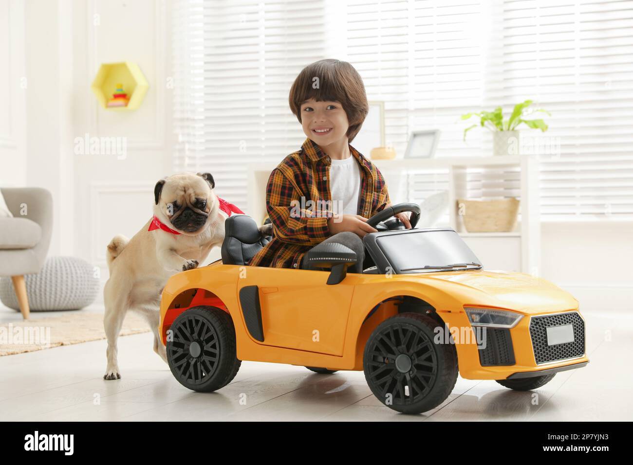 Little boy with his dog in toy car at home Stock Photo - Alamy