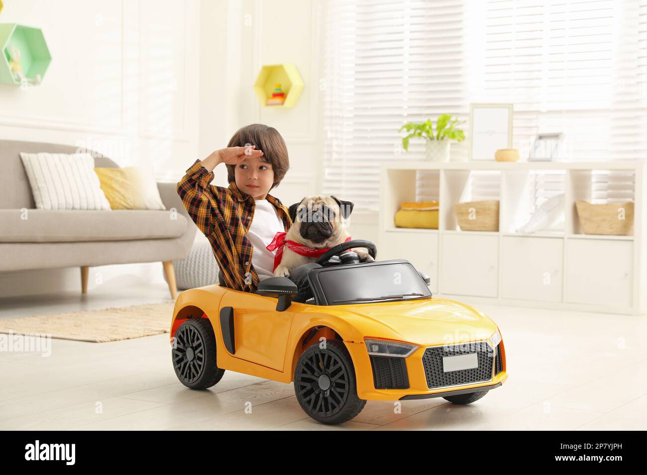 Little boy with his dog in toy car at home Stock Photo - Alamy