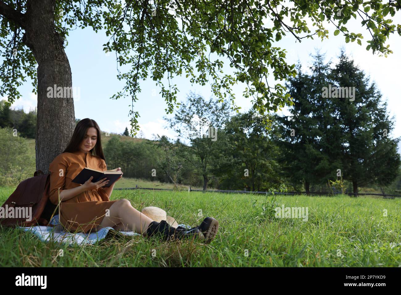 Young woman reading book under tree on meadow Stock Photo - Alamy