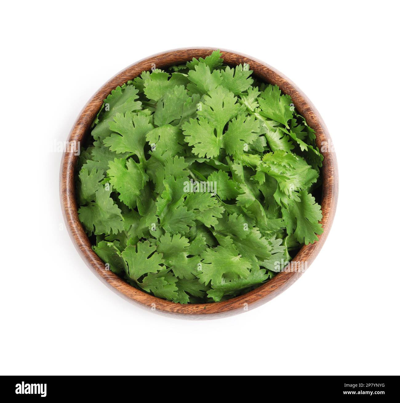 Bowl with fresh green coriander leaves isolated on white, top view ...