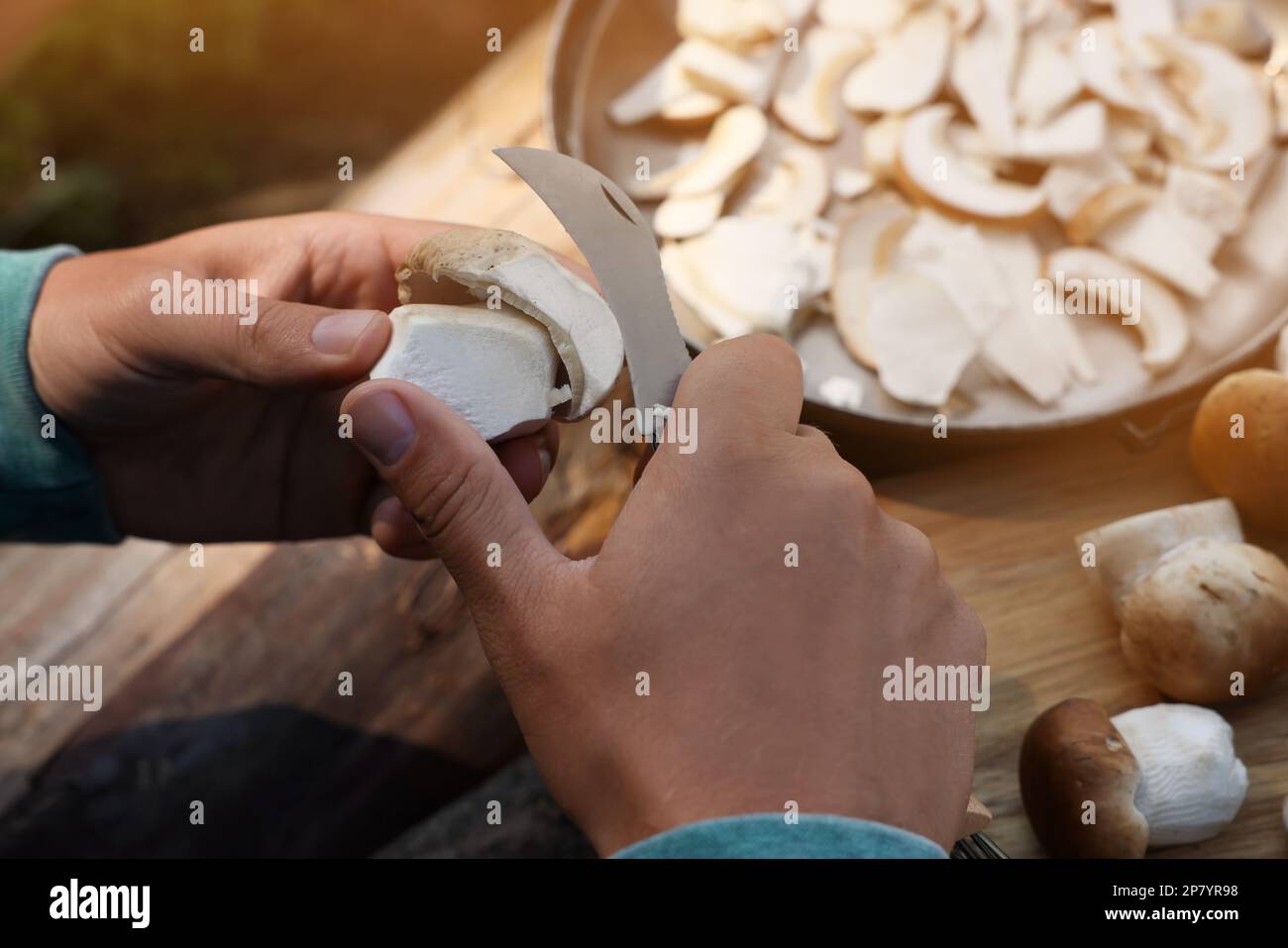 Man cutting knife mushrooms hi-res stock photography and images - Alamy