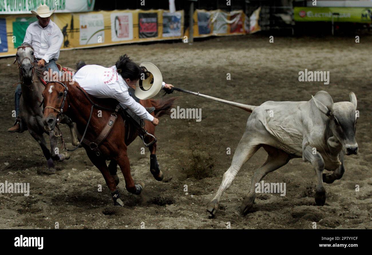 A woman pulls the tail of a steer in an attempt to knock him over in a ...