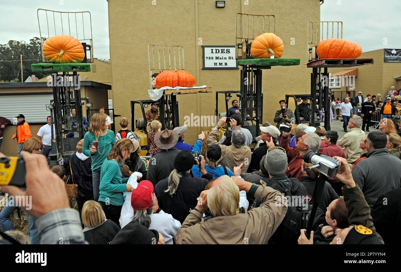 The top four "most beautiful pumpkins" are raised on forklifts at the ...