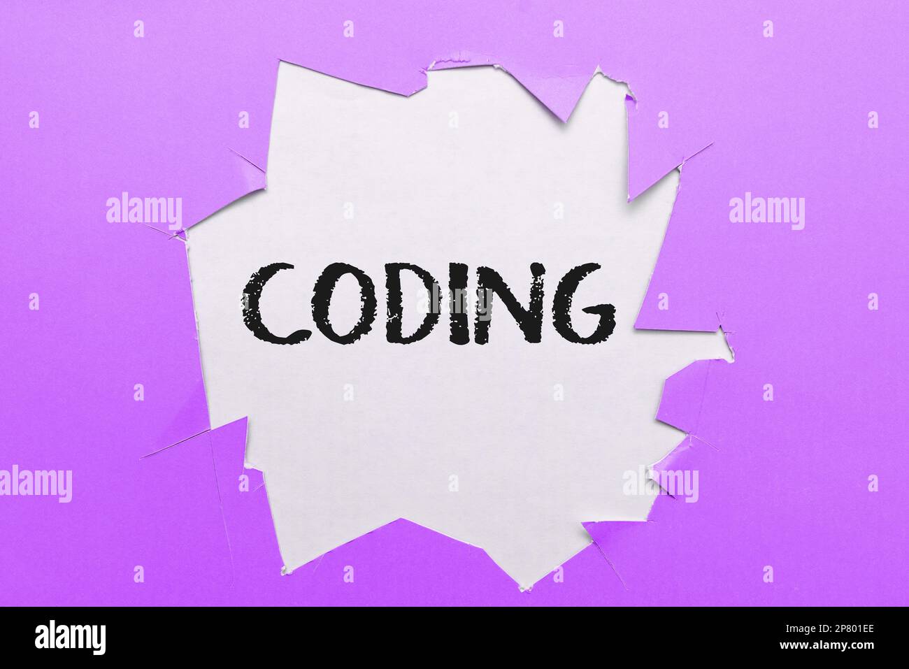 Writing Displaying Text Coding Business Concept Assigning Code To 9787