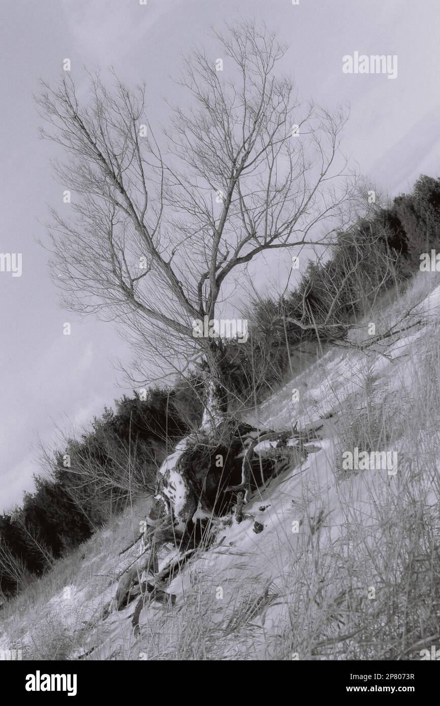 Off kilter hi-res stock photography and images - Alamy