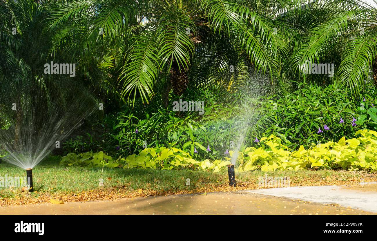 Sprinkler irrigation system of a tropical garden in Mexico on a sunny ...
