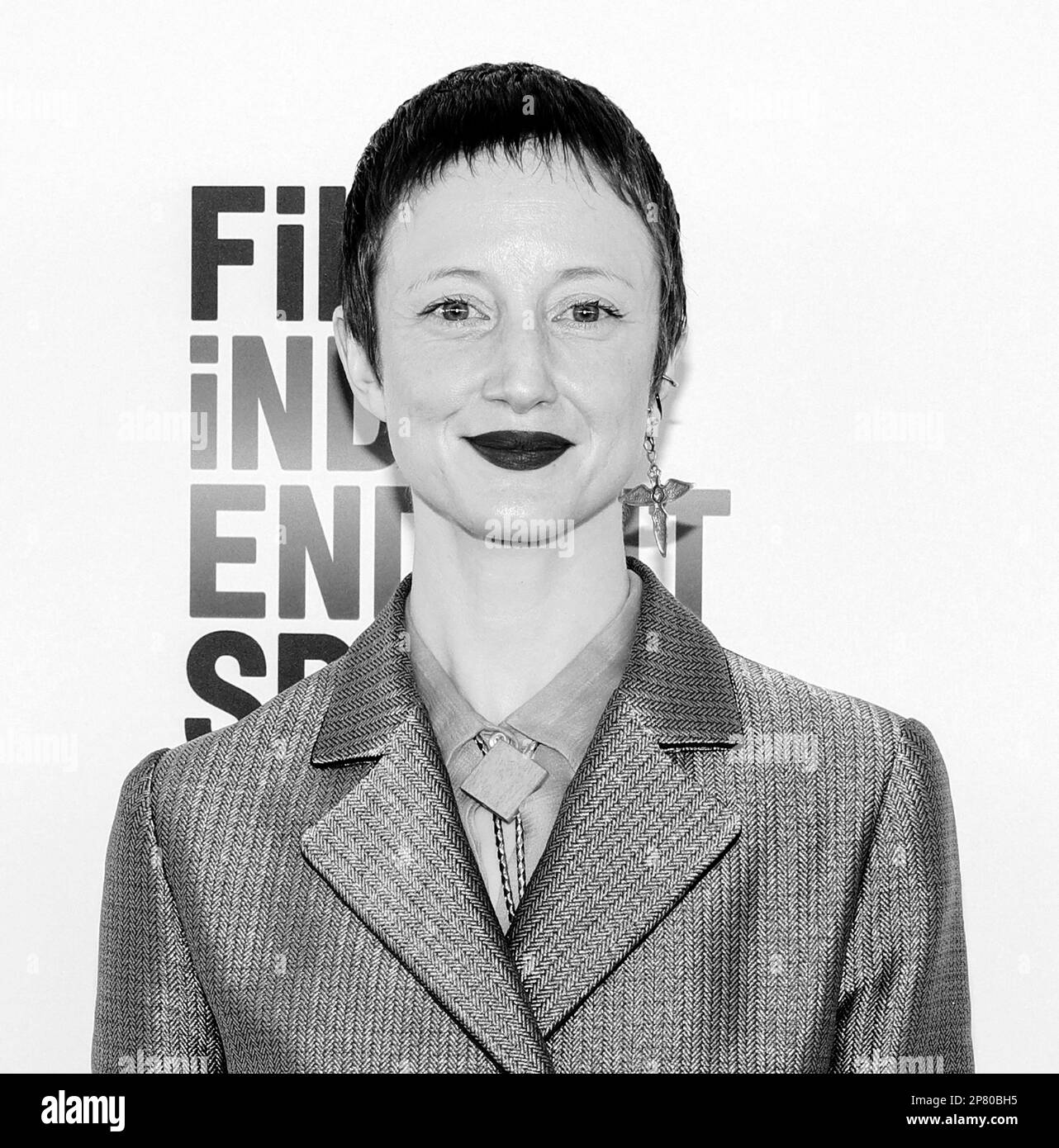 Santa Monica, California - March 04, 2023: Andrea Riseborough attends ...