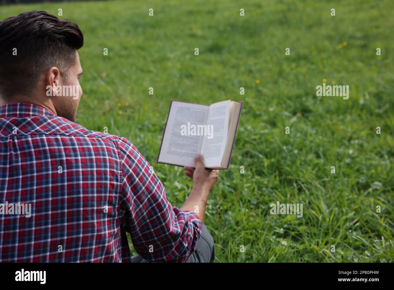 Back view man sitting on meadow his hi-res stock photography and images ...