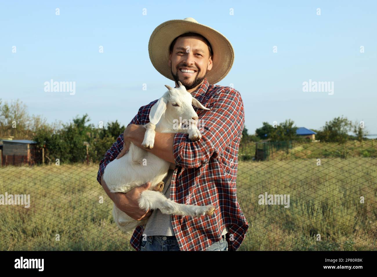 Man with goat at farm. Animal husbandry Stock Photo - Alamy