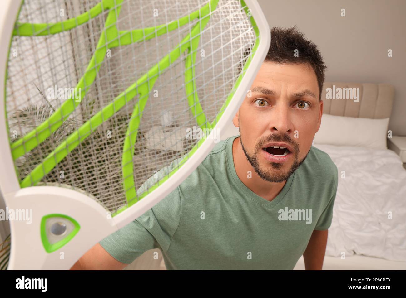 Insect in bedroom hi-res stock photography and images - Alamy