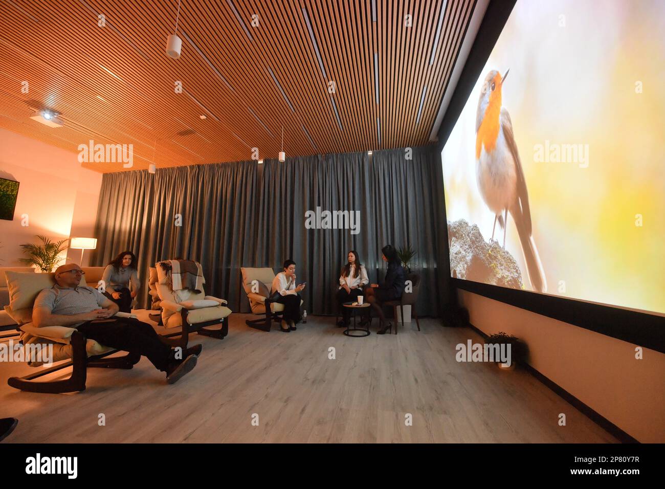 'Moscow. A cinema hall in the Unified Support Center for NWO ...