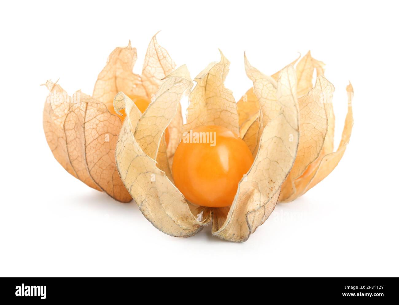 Ripe physalis fruits with dry husk on white background Stock Photo - Alamy