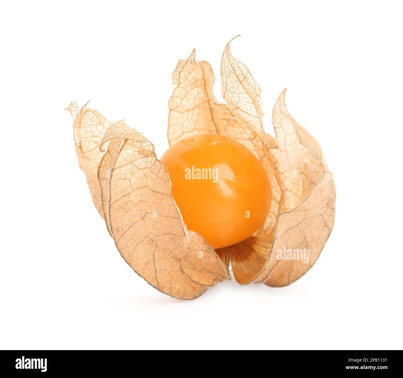 Ripe physalis fruit with dry husk on white background Stock Photo - Alamy