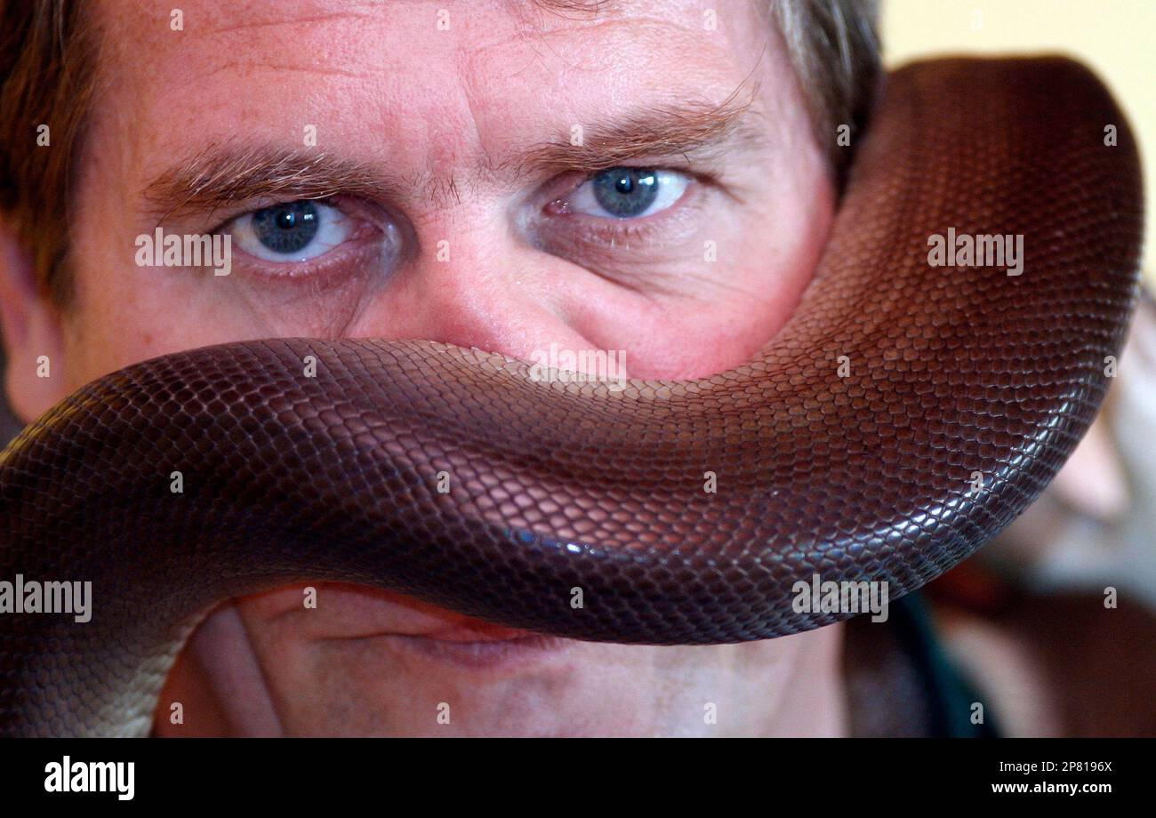 Keeper John Mostyn lets a diamond python wrap itself around his head at ...