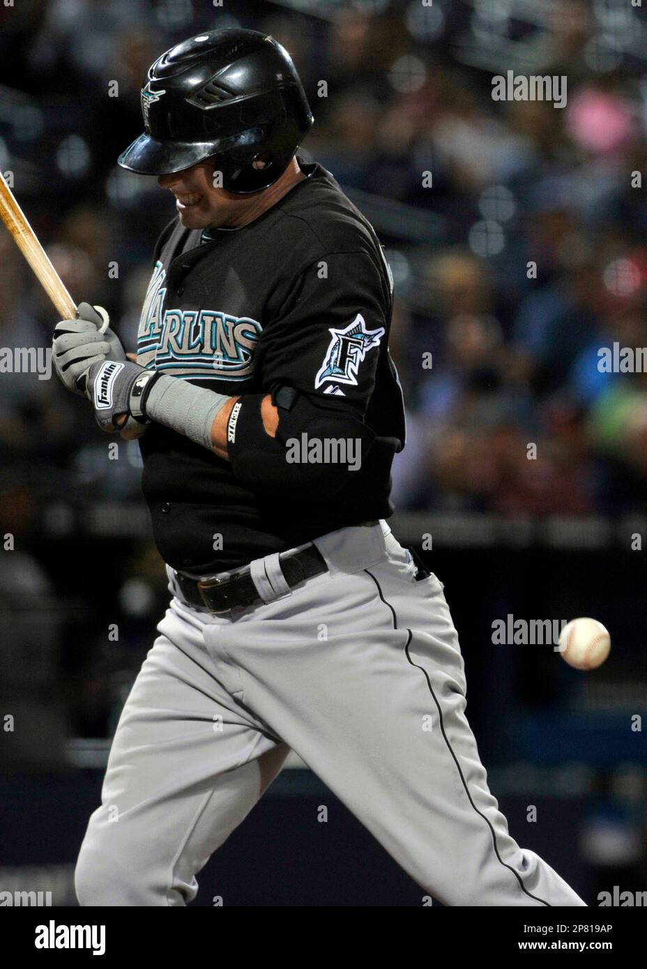 Florida Marlins Brett Carroll reacts as he is hit by a pitch from ...