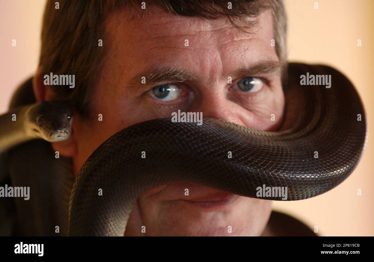 Keeper John Mostyn lets a diamond python wrap itself around his head at ...