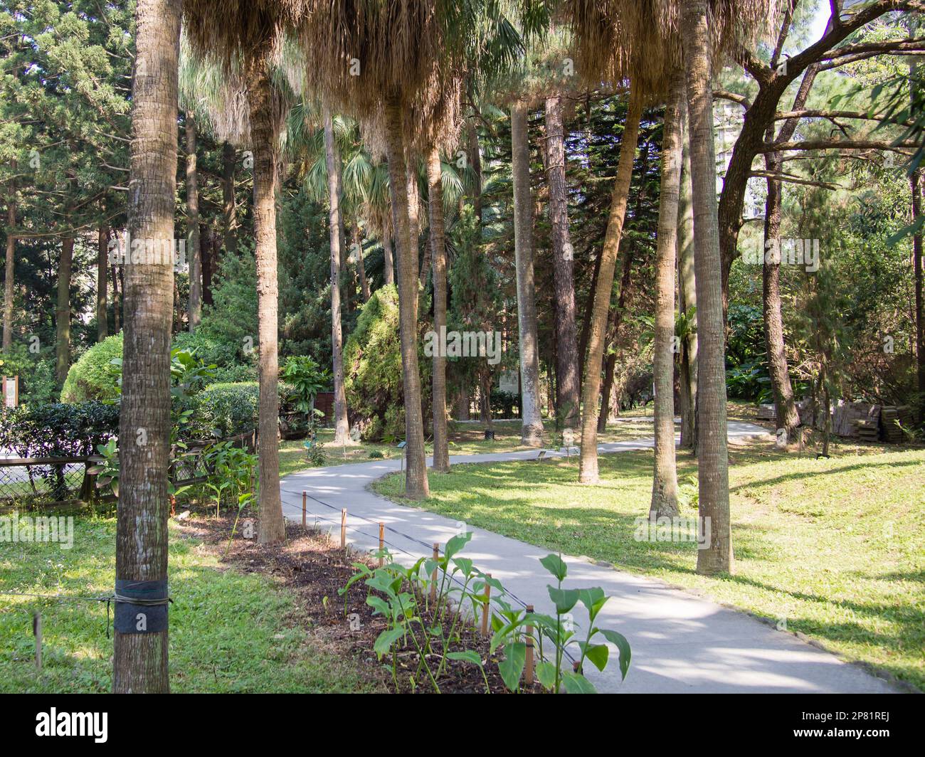 A tree-lined walkway at Taipei Botanical Garden in Taiwan. This garden ...