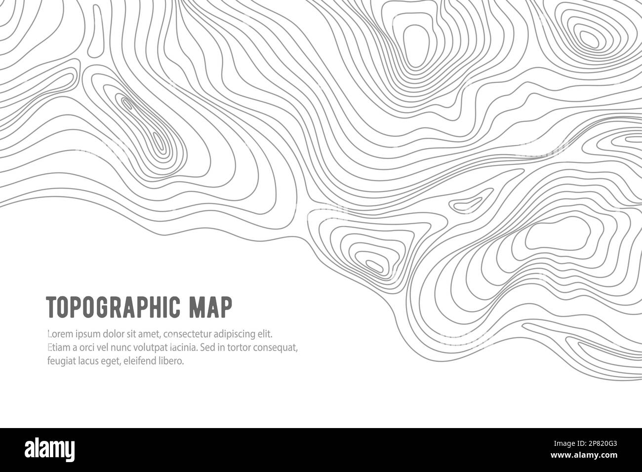 Topographic map, grid, texture, relief contour of terrain. Vector ...
