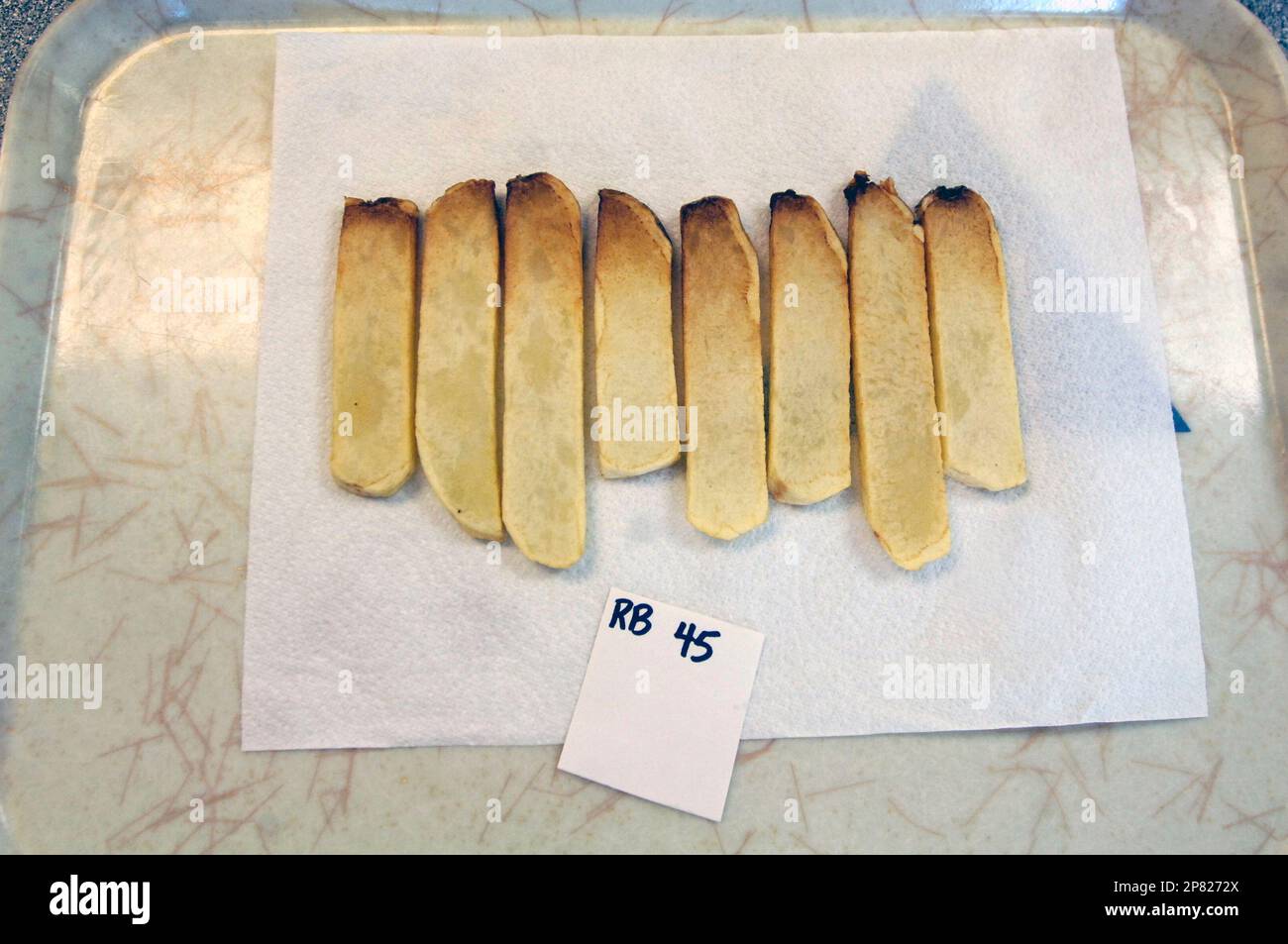 A batch of Russet Burbank french fries are pictured on a tray inside ...