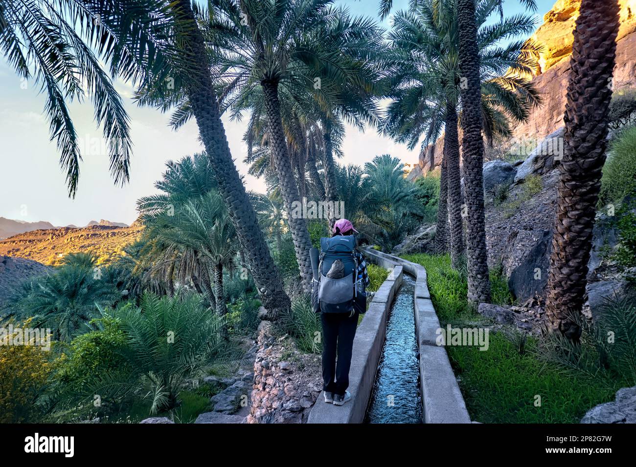 Trekking through the falaj (aflaj: the ancient Omani irrigation ...