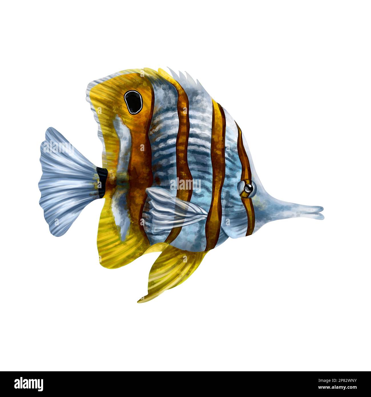 Yellow and white striped butterfly fish. An exotic underwater animal ...