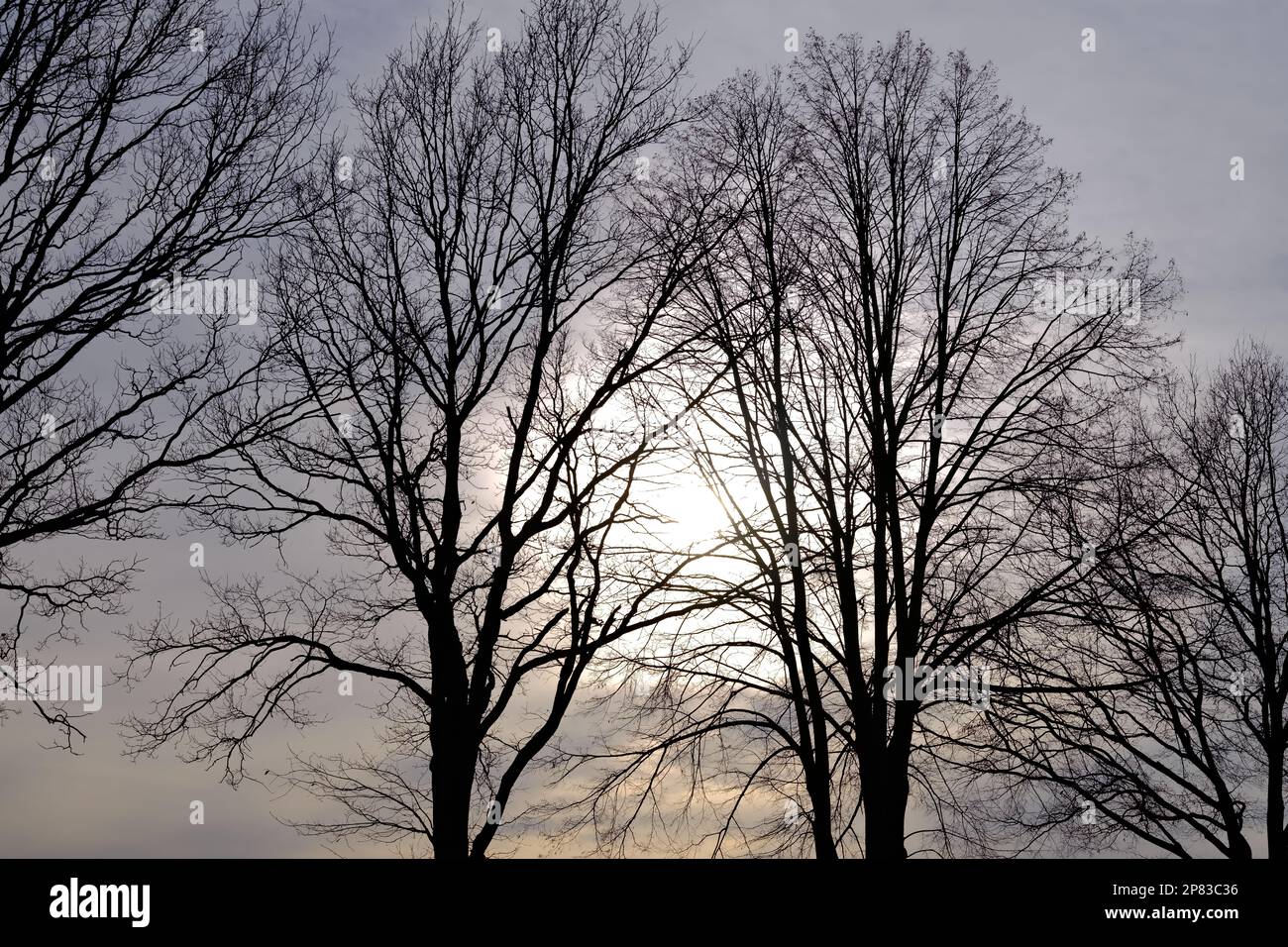 Village heat sun hi-res stock photography and images - Alamy