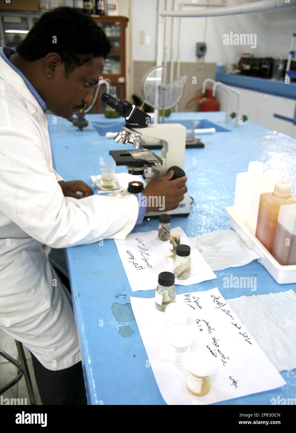 Laboratory, Marine Research Centre, Umm al-Quwain, 2008 Stock Photo - Alamy