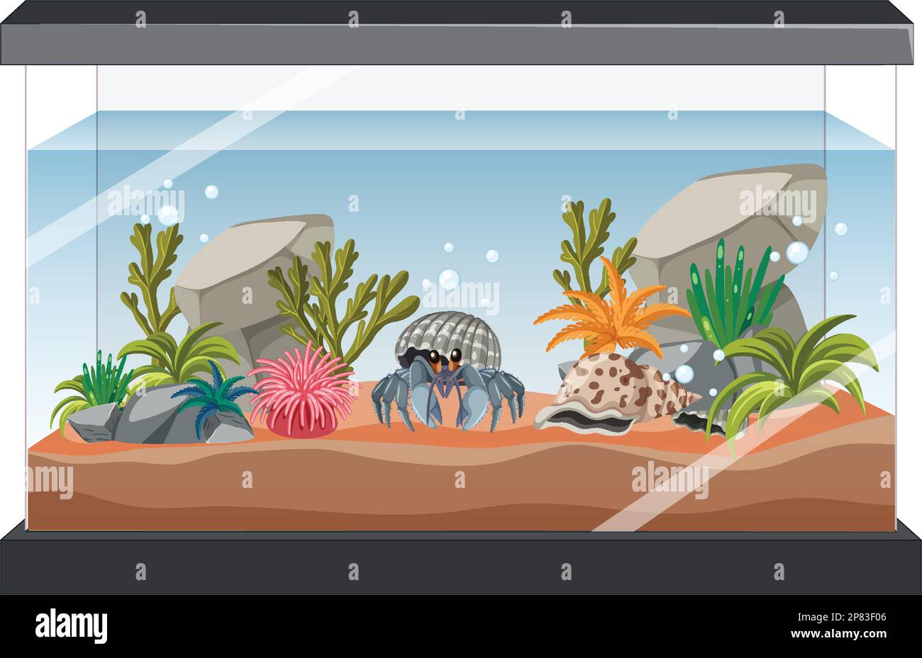 Aquarium tank with fishes and decorations on white background ...
