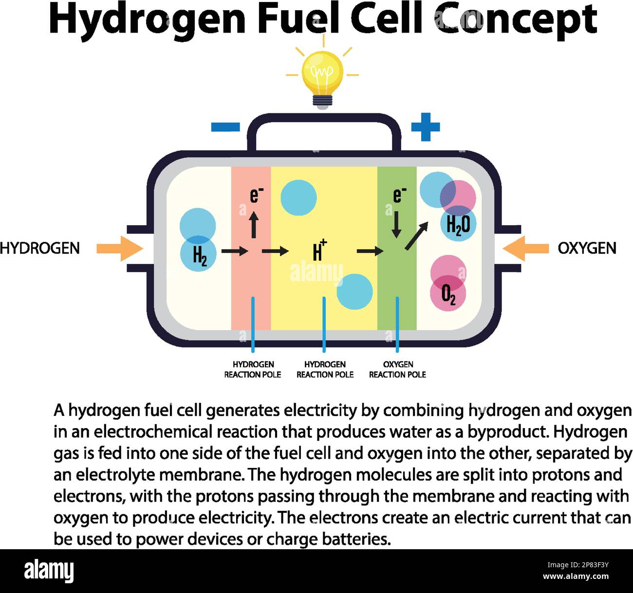 Hydrogen Fuel Cell Technology