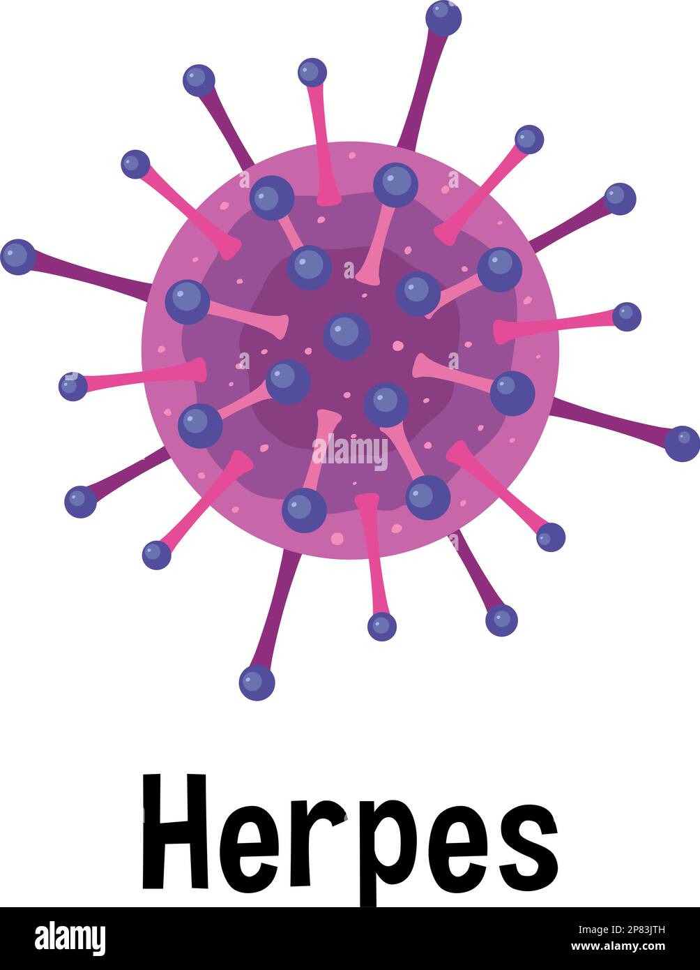 Herpes virus with text illustration Stock Vector Image & Art - Alamy