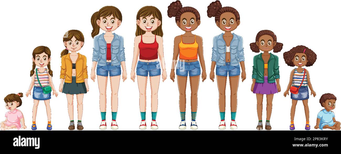 Woman growth and development illustration Stock Vector Image & Art - Alamy